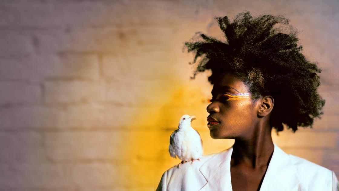 Works – Thomas Allen Harris